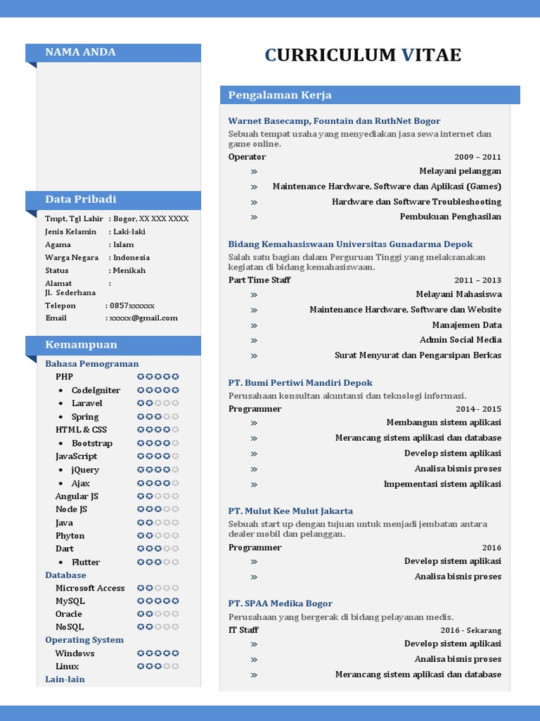 Contoh CV Programmer Freelance Terbaru | PDF