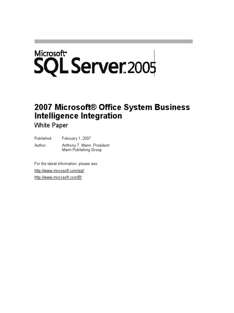 SQL Server 2005 and Office2007 Business Intelligence Whitepaper ...