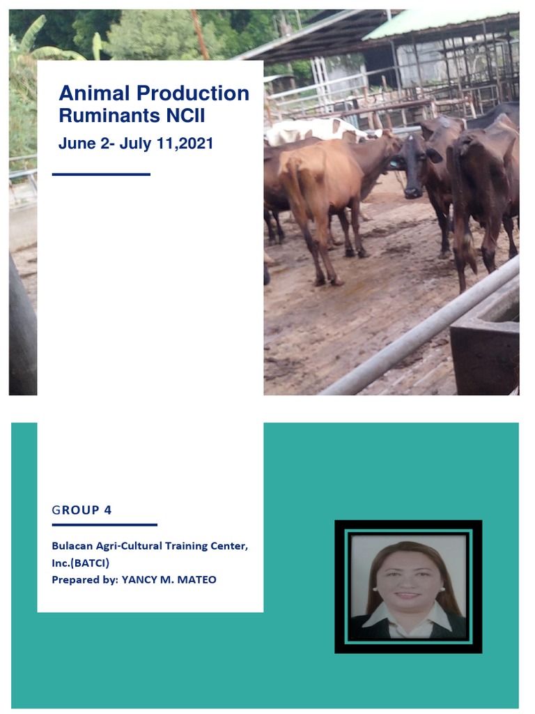 Animal Production: Ruminants NCII | PDF | Weed | Legume