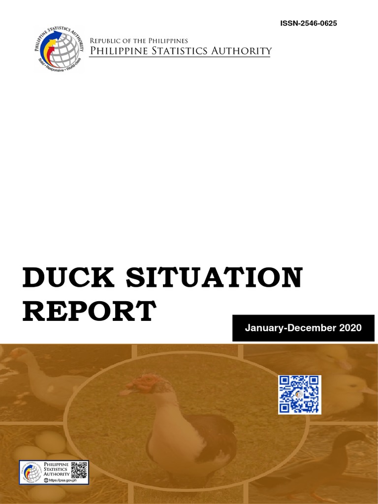 1 - SR Duck Annual Situation Report - Signed | PDF | Business