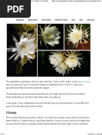 My Plant Observation Journal | PDF