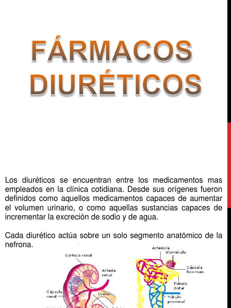 Clasificación y uso de diuréticos | PDF | Riñón | Drogas