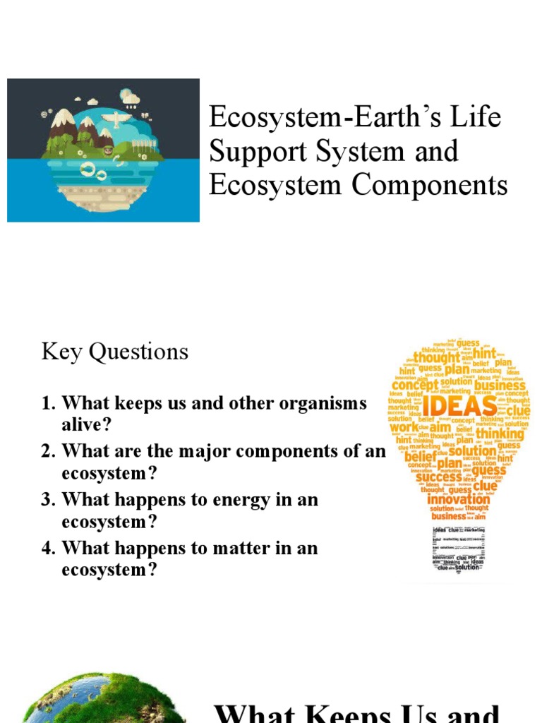 Ecosystem-Earth's Life Support System and Ecosystem Components | PDF
