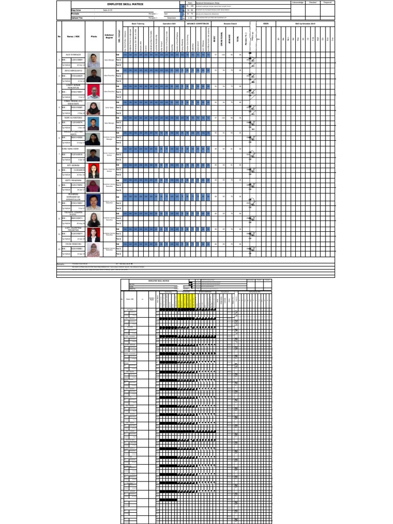 ISO - Skill Matrik Sales & CS | PDF | Business