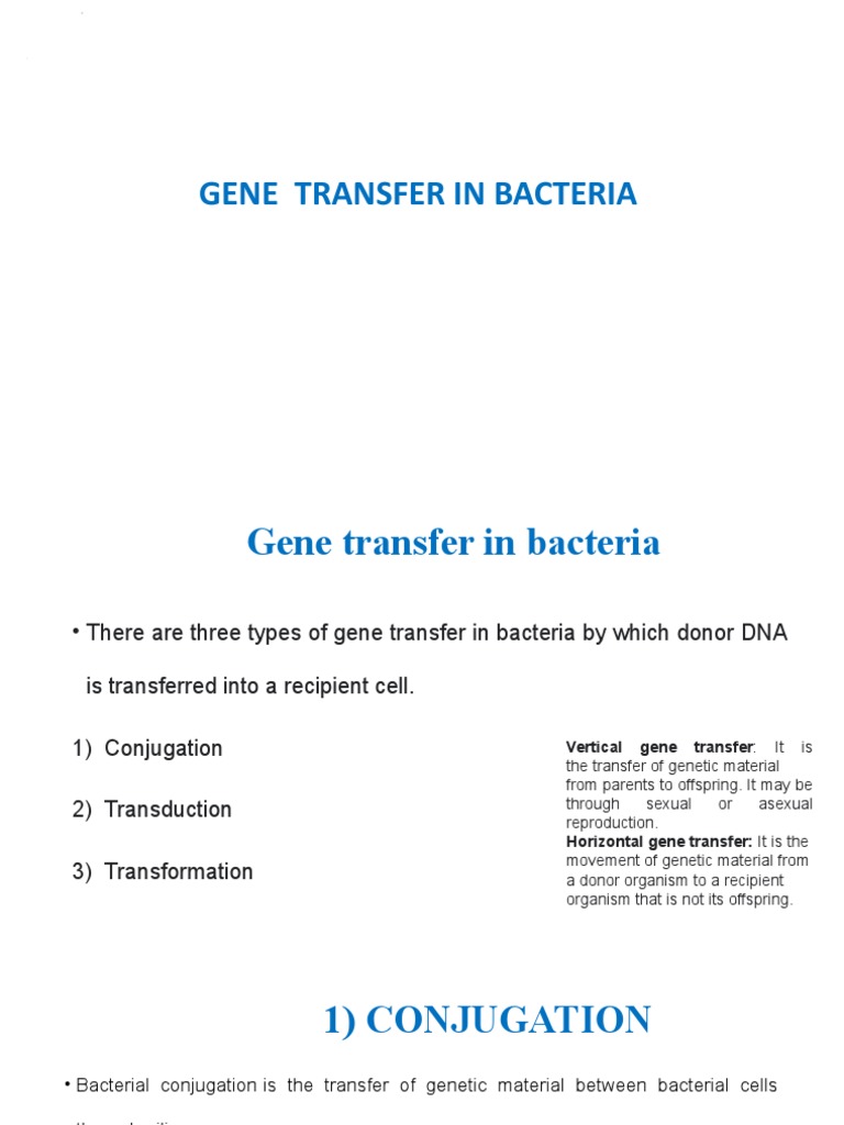 Bacterial Gene Transfer Basics | PDF | Transformation (Genetics) | Plasmid