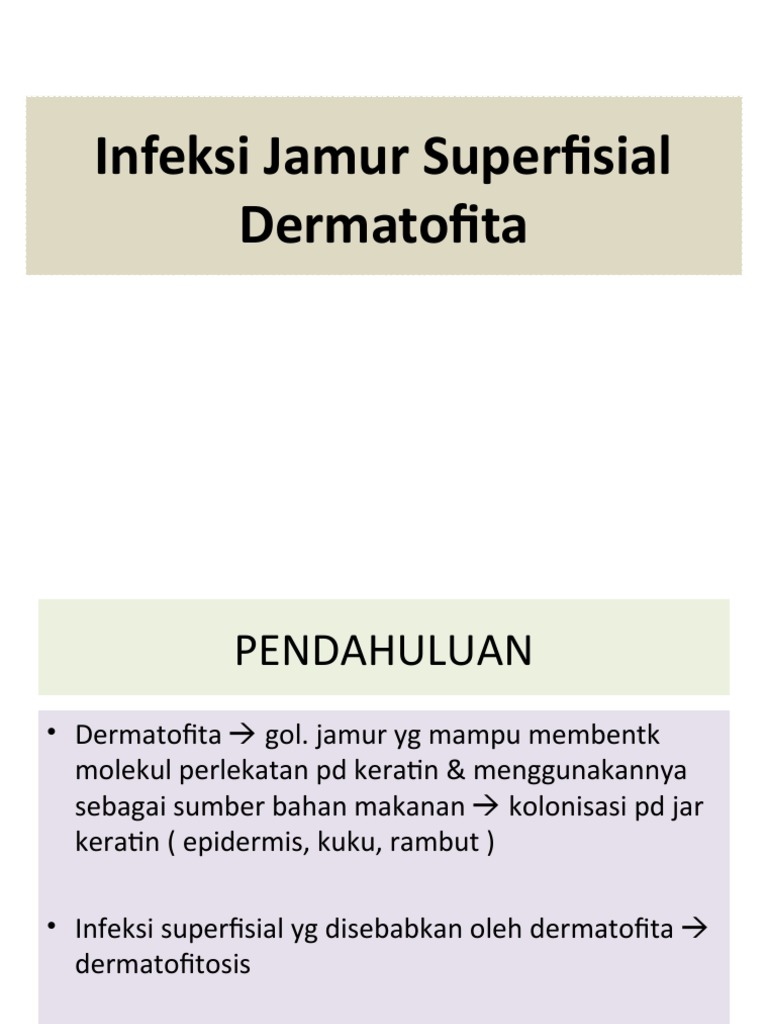 Infeksi Jamur Dermatofita pada Kulit | PDF
