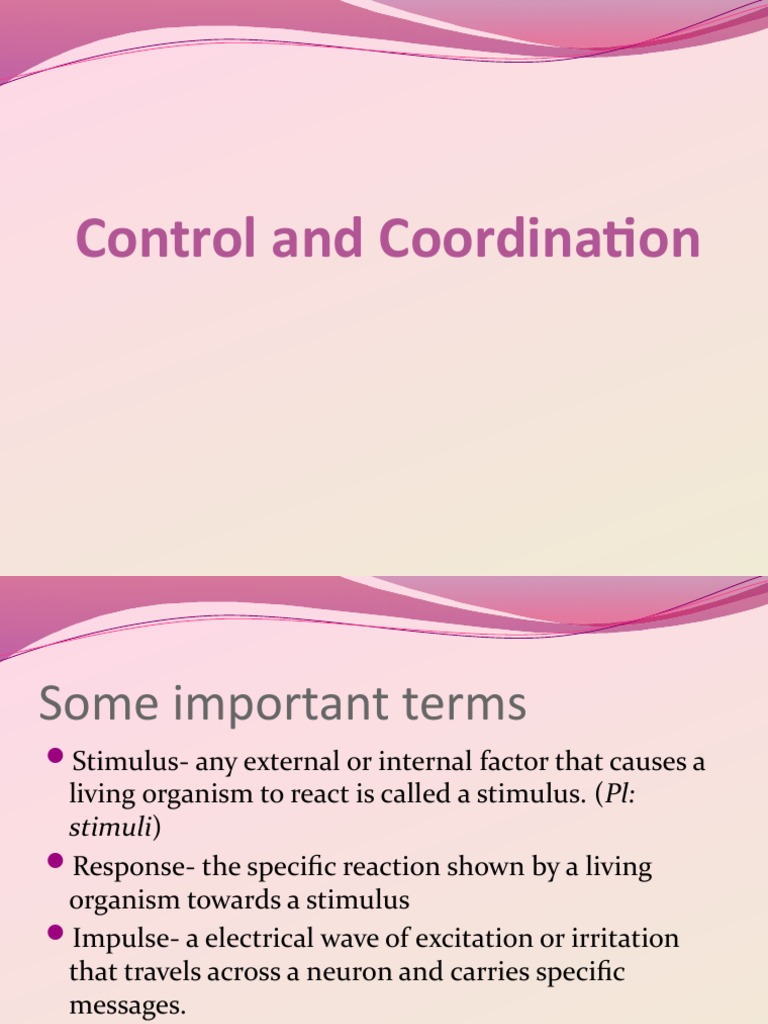 Control and Coordination | PDF | Neuron | Cerebrum