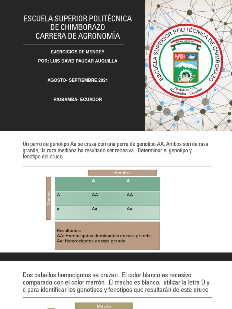 Ejerccios de Cruce Monohibrido | PDF