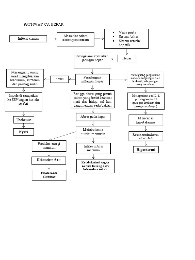 Pathway CA Hepar | PDF