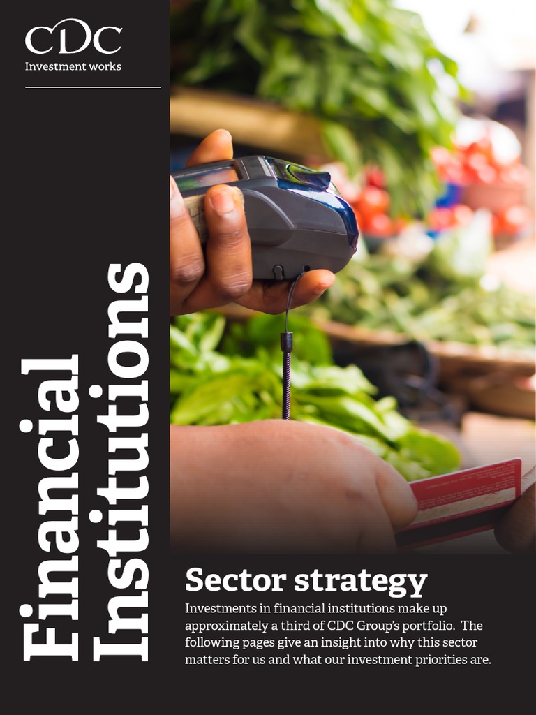 CDC Group - Investment Strategy - Financial Institutions | PDF ...