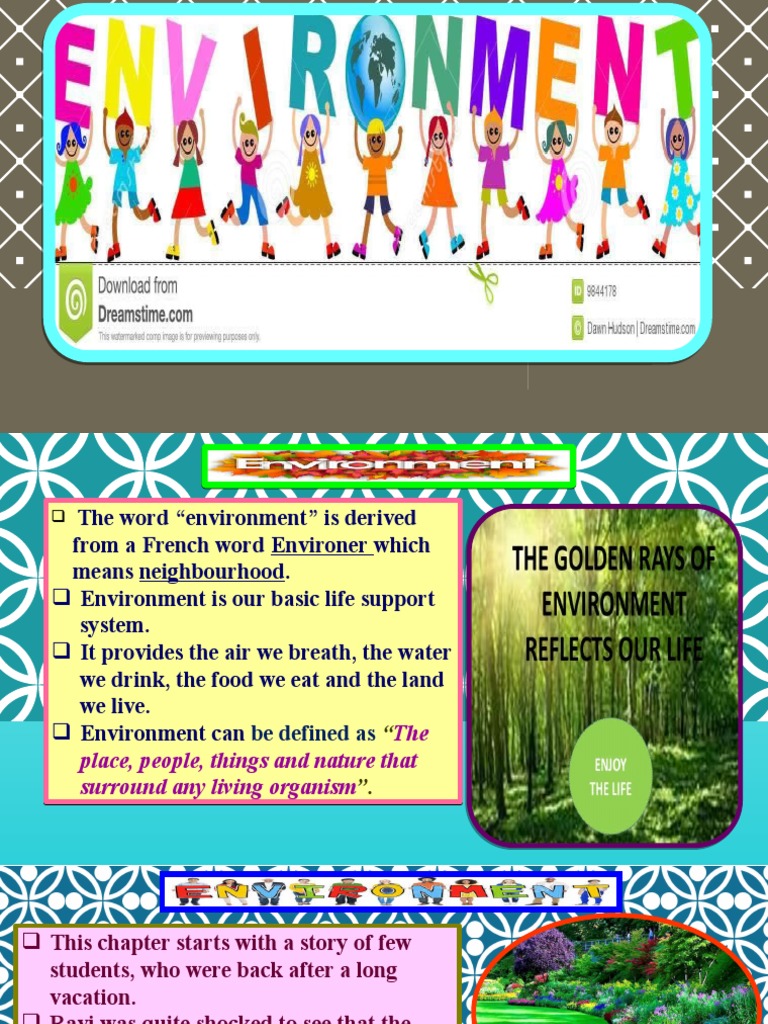 Understanding Our Environment: Class 7 | PDF | Natural Environment | Earth