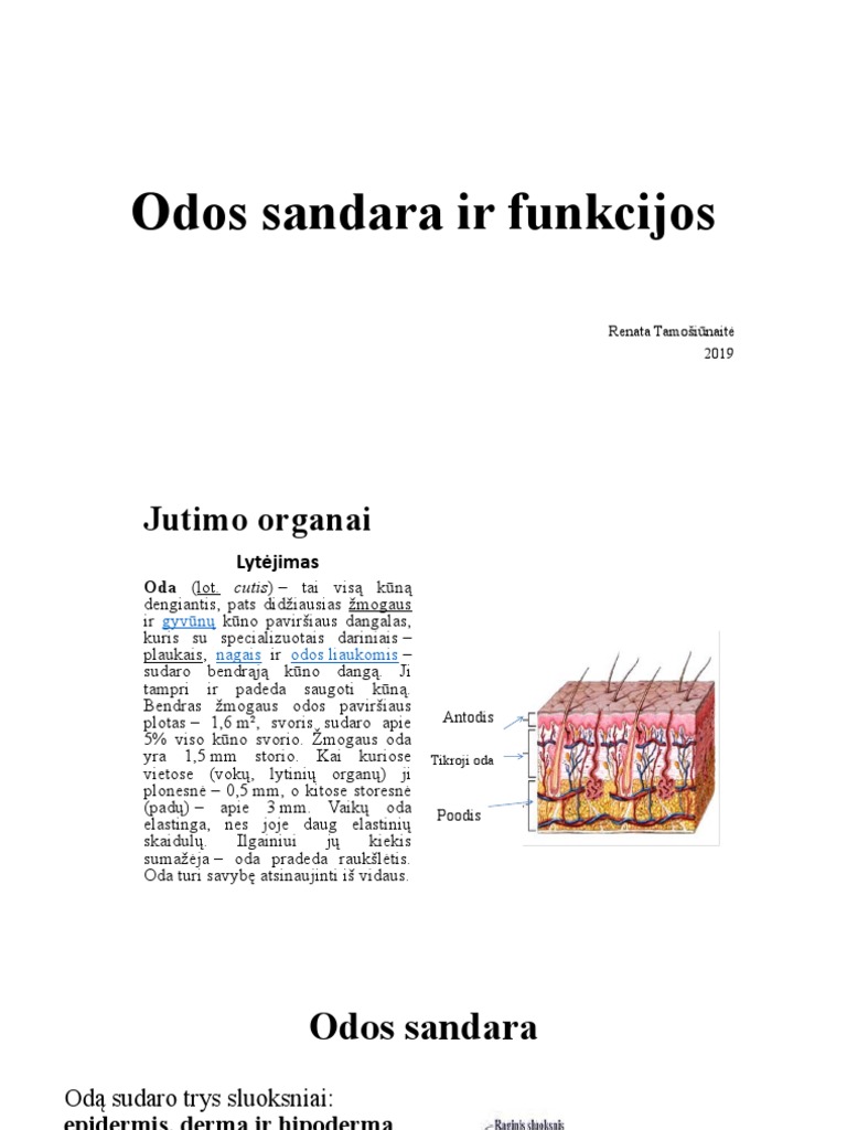 Odos Sandara Ir Funkcijos | PDF