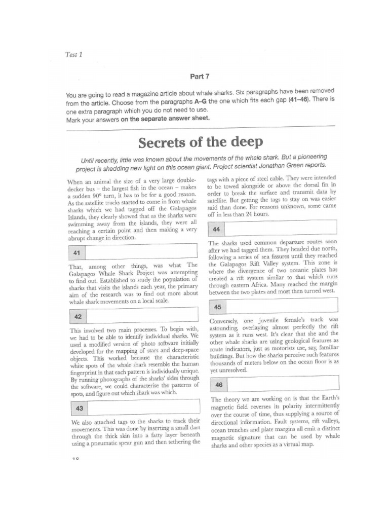 Reading Part7-1 | PDF