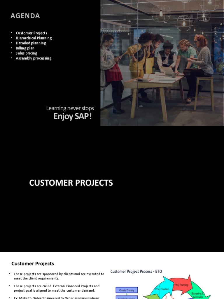 SAP PS Customer Projects & Revenue Planning | PDF | Pricing | Business