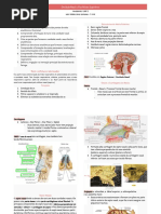 Anatomia e Fisiologia das Fossas Nasais | PDF | Cabeça e pescoço humano ...