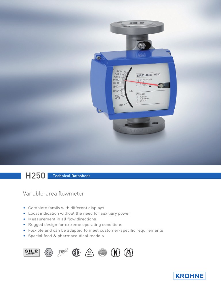H250 Series Rotameter Brochure | PDF | Flow Measurement | Switch