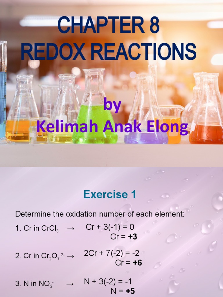Chapter 8 - Redox Reactions - Exercise 8 | PDF | Redox | Chemical Elements