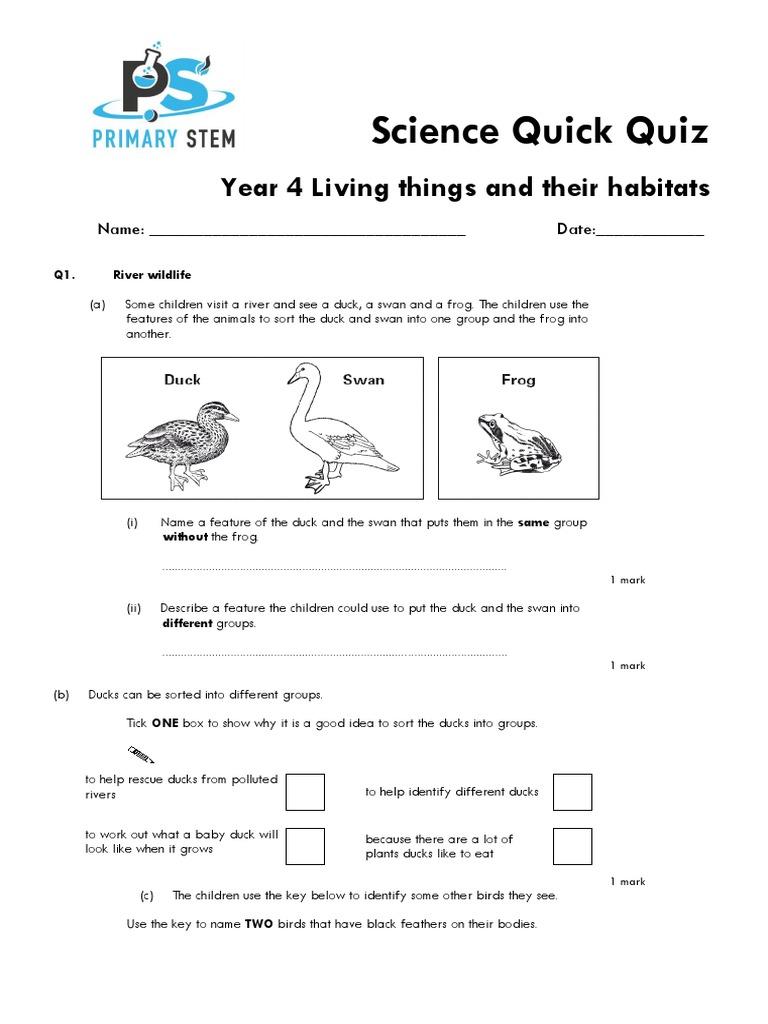 Year 4 Habitats and Living Things Quiz | PDF | Duck | Paravians