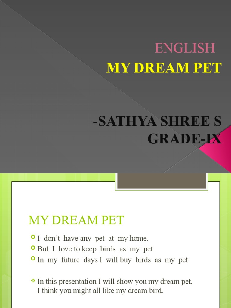 English Chapter 2 Supplementary | PDF