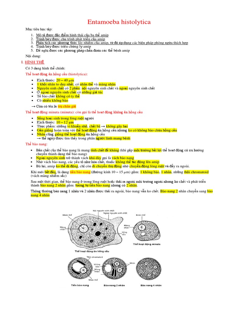 Entamoeba Histolytica | PDF