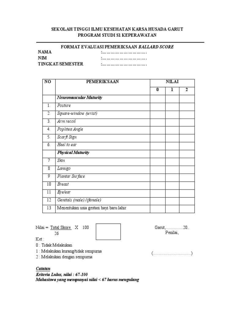Evaluasi Ballard Score Bayi Baru Lahir | PDF