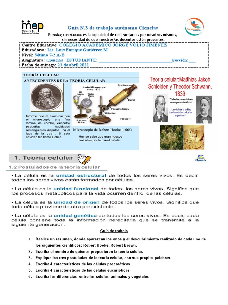 Guia #3 Teoria Celular | PDF | Biología Celular) | Eucariotas