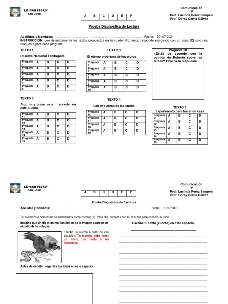Prueba Diagnóstica de Lectura y Escritura | PDF