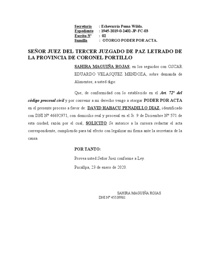 Poder Por Acta - Sahira | PDF | Derecho