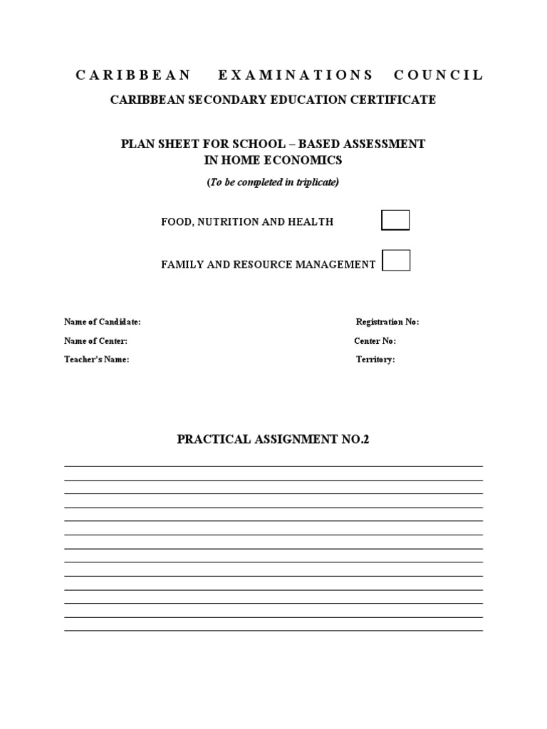 Practical Assignment Preparation Sheet for a Secondary Education Home ...