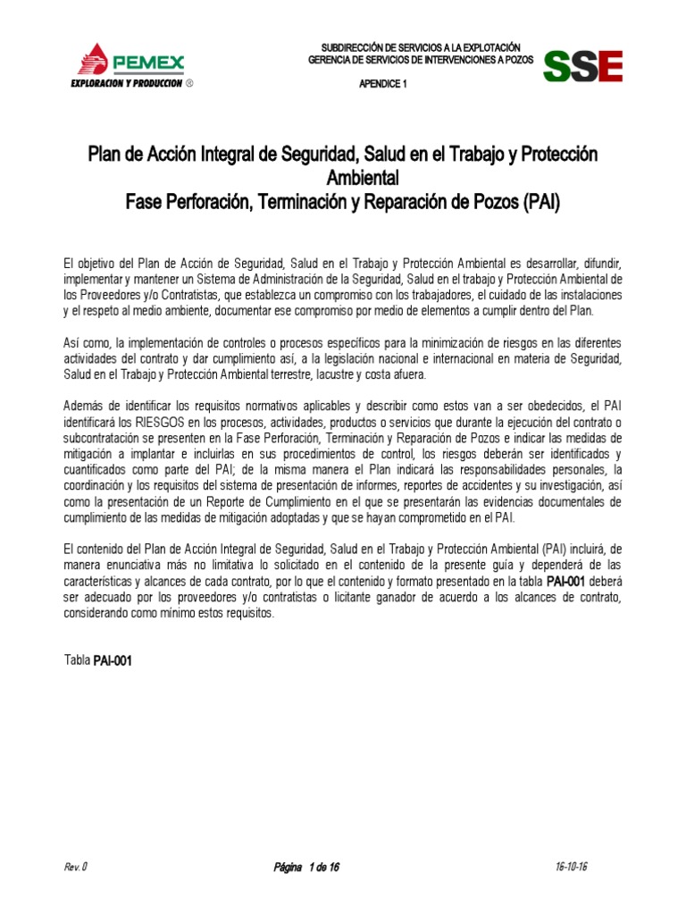 Guía para La Elaboración Del Plan de Accion Integral 22-NOV-16 | PDF ...