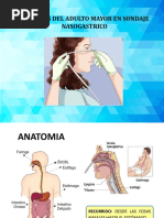 Sonda Rectal | PDF | Recto | Enfermería