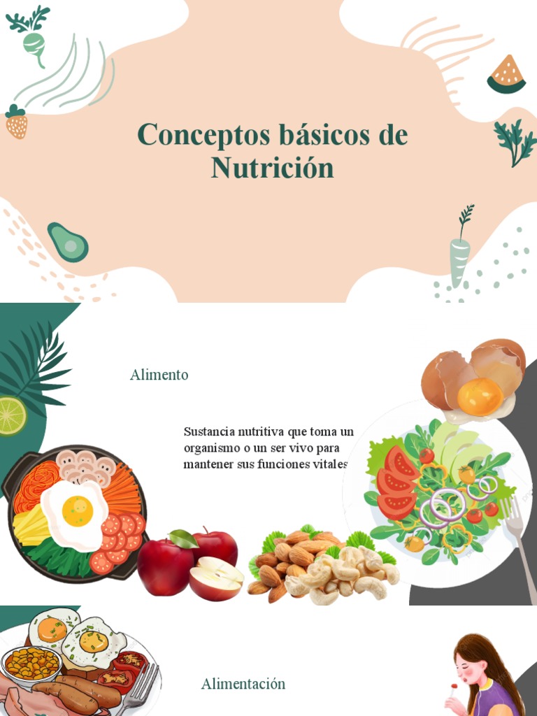 3.conceptos Basicos de Nutricion | PDF | Alimentos | Nutrición