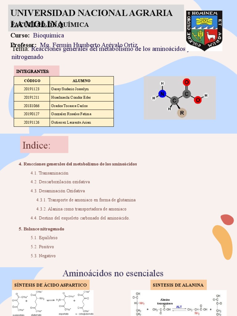 Reacciones Generales Del Metabolismo de Los Aminoácidos. Balance ...