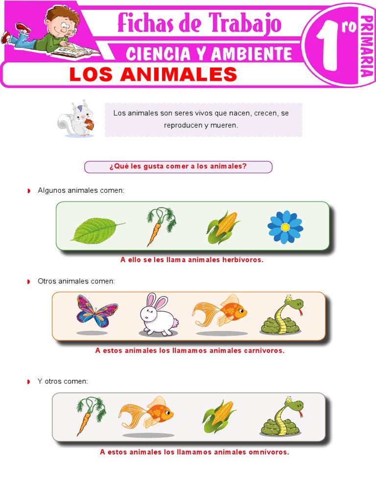 Los Animales para Primer Grado de Primaria | PDF | Naturaleza | Science