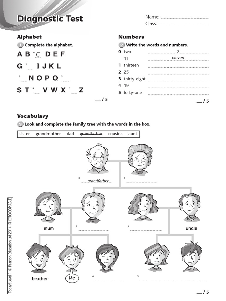 Diagnostic Test: Name: Class: Alphabet Numbers | PDF