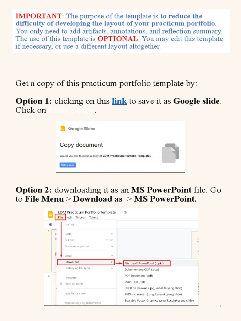 Get A Copy of This Practicum Portfolio Template By: Click On | PDF ...
