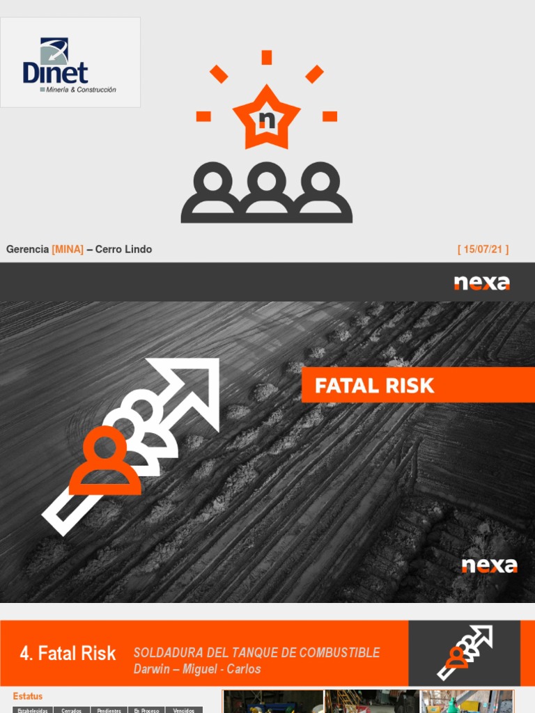 Fatal Risk | PDF