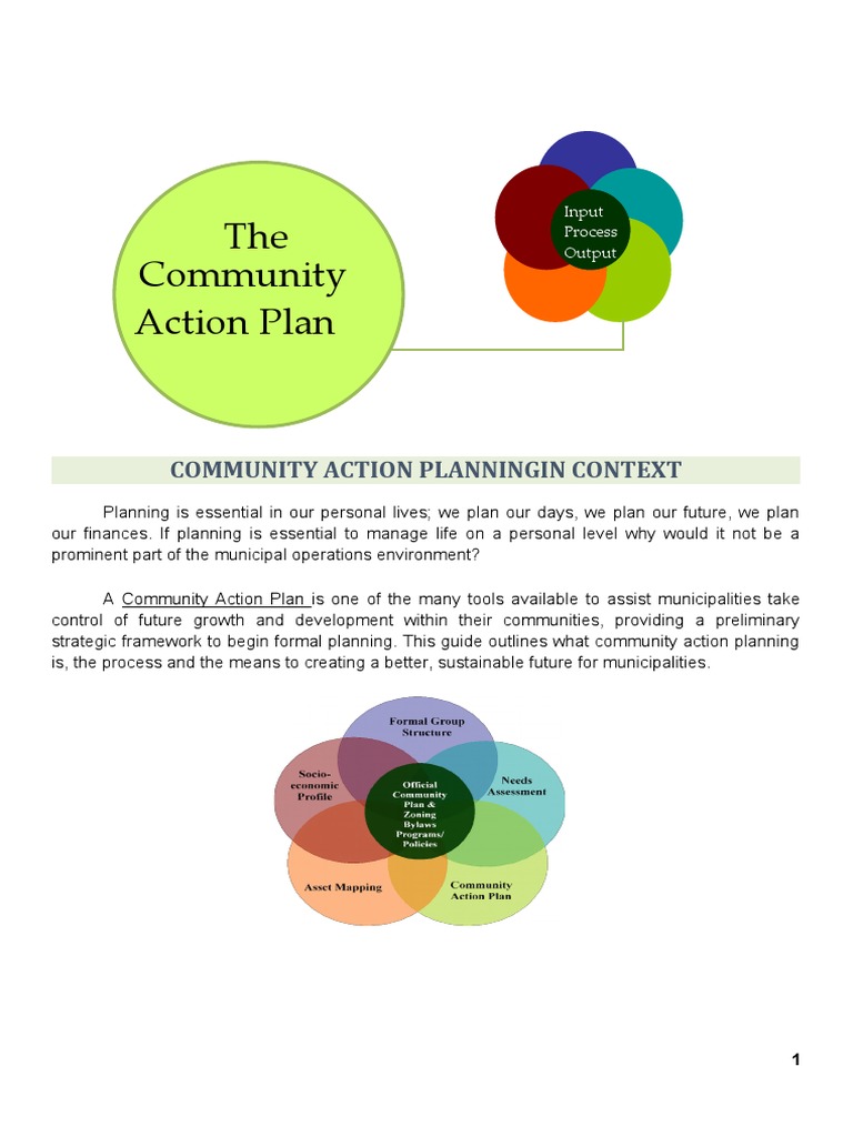 The Community Action Plan | PDF | Goal | Strategic Planning