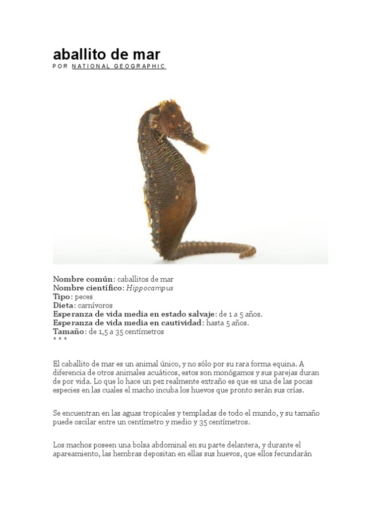 Caballito de Mar | PDF | Zoología | Naturaleza