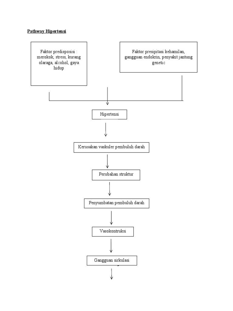Pathway Hipertensi | PDF
