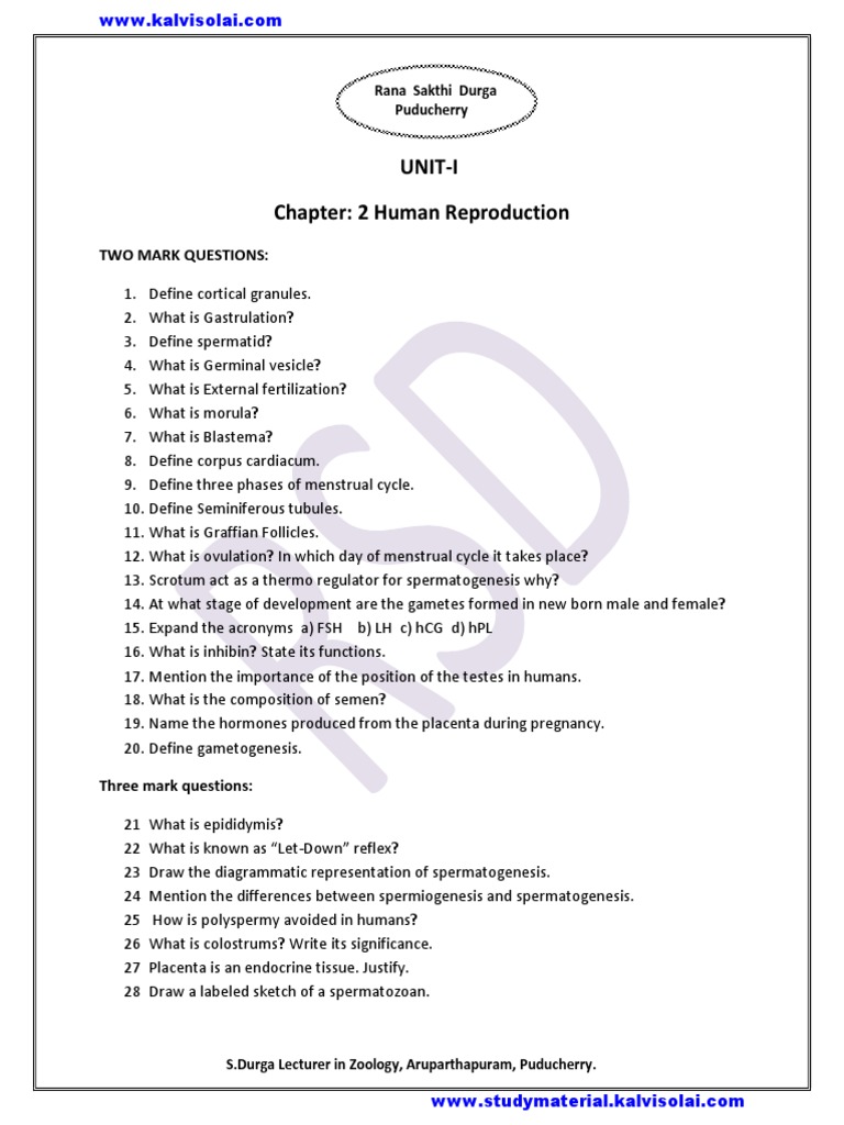 Important Questions on Human Reproduction | PDF | Menstrual Cycle | Ovary
