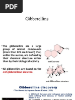 Agricultural Sciences p2 Gr11 Memo Nov2024 - English - Watermark | PDF | Fruit | Fertilizer