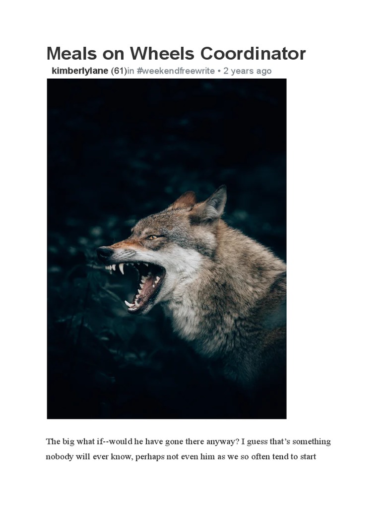 Kim Hazel's Chris Duffy Dossier | PDF | Nature