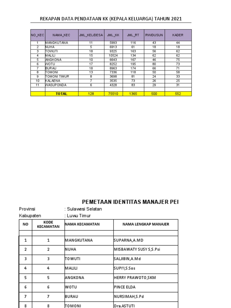 Pemetaan SDM PK 2021 Kab Luwu Timur (Revisi) | PDF
