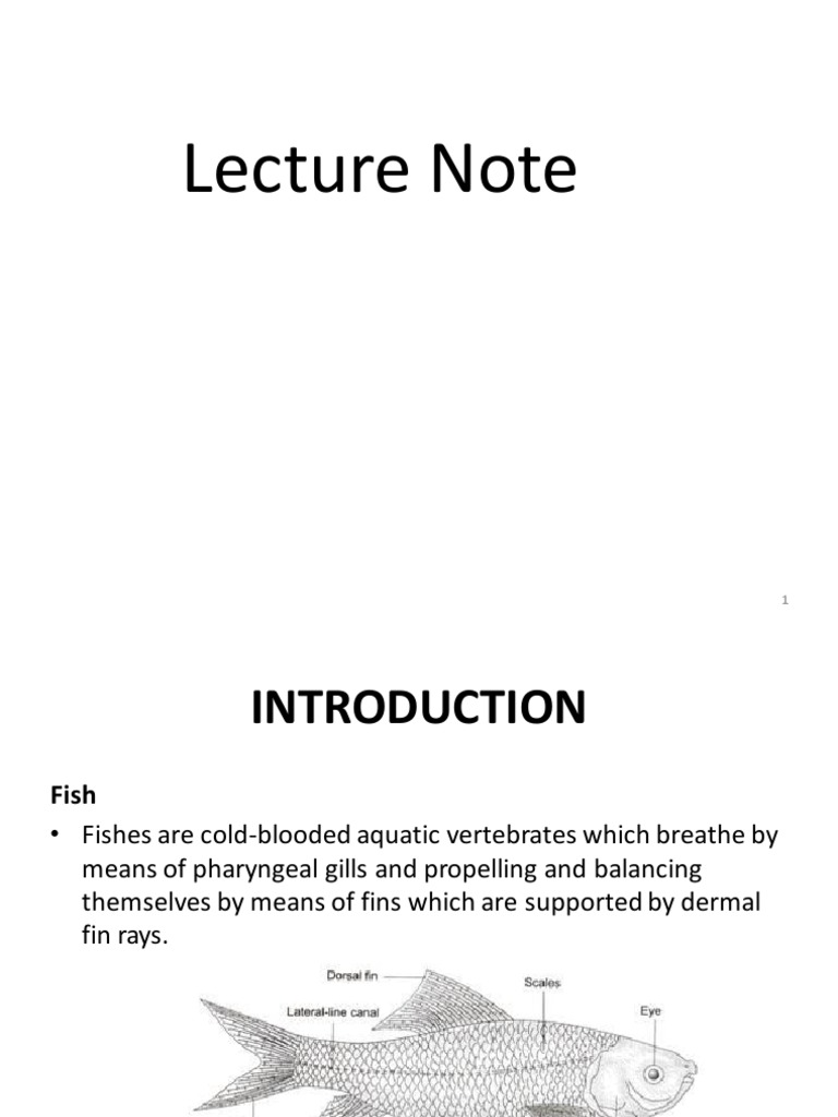 General Characteristics of Fishes | PDF | Aquaculture | Fish