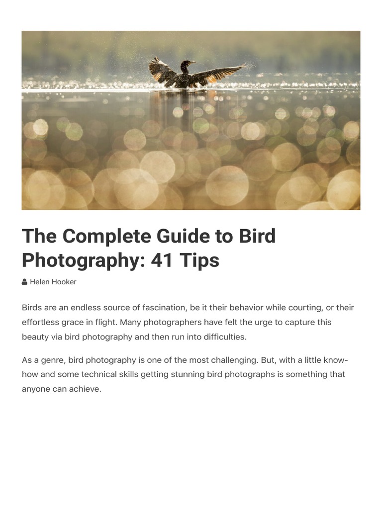 Bird Photography: 41 Essential Tips | PDF | Shutter Speed | Camera Lens