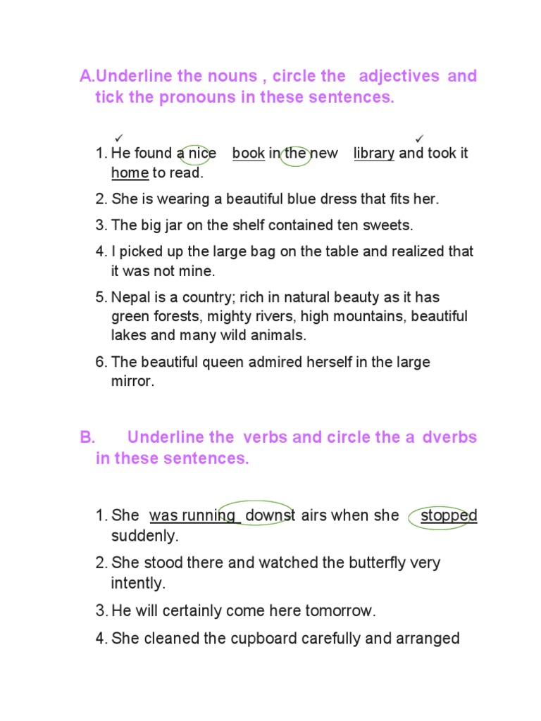 Adjective and Noun Identification Worksheet | PDF