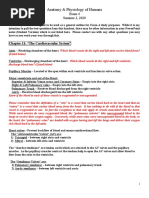 Cardiovascular System | PDF | Atrium (Heart) | Heart