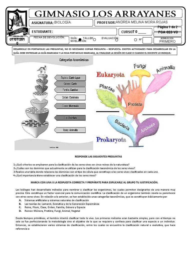 Taller Septimo | PDF | Organismos | Taxonomía (biología)