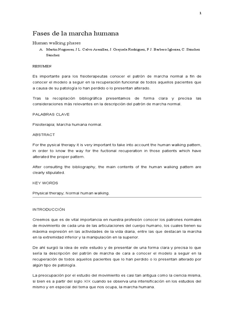 Fases de La Marcha Humana | PDF | Pie | Rodilla